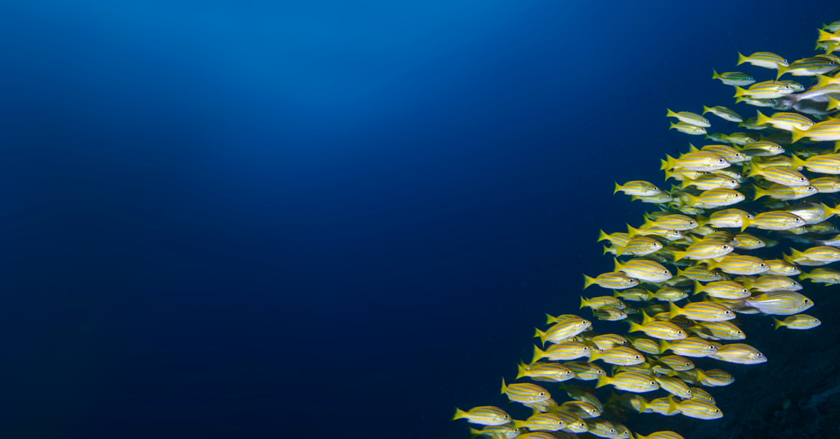 Delterra Calls for Systemic, Scalable Change at Economist Impact’s ...